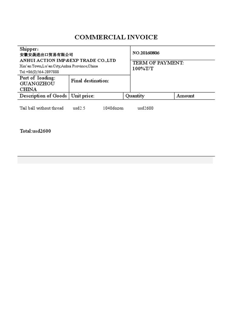 China Commercial Invoice Sample | PDF