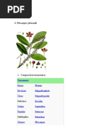 Ficha Técnica de Sinemet y Sinemet Plus | PDF | Medicina CLINICA | Medicina