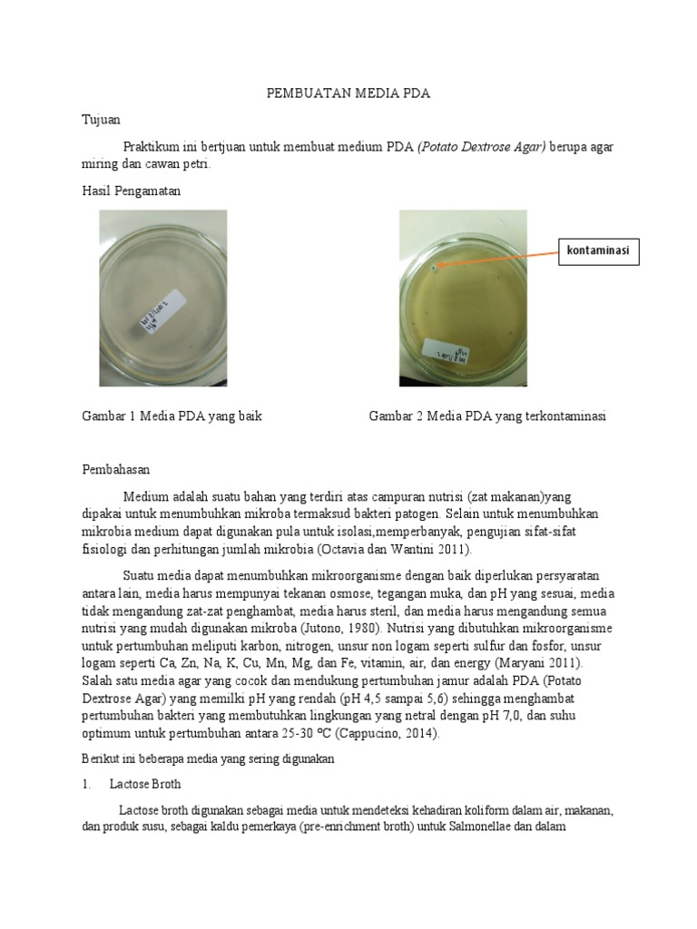 Pembuatan Media Pda | PDF