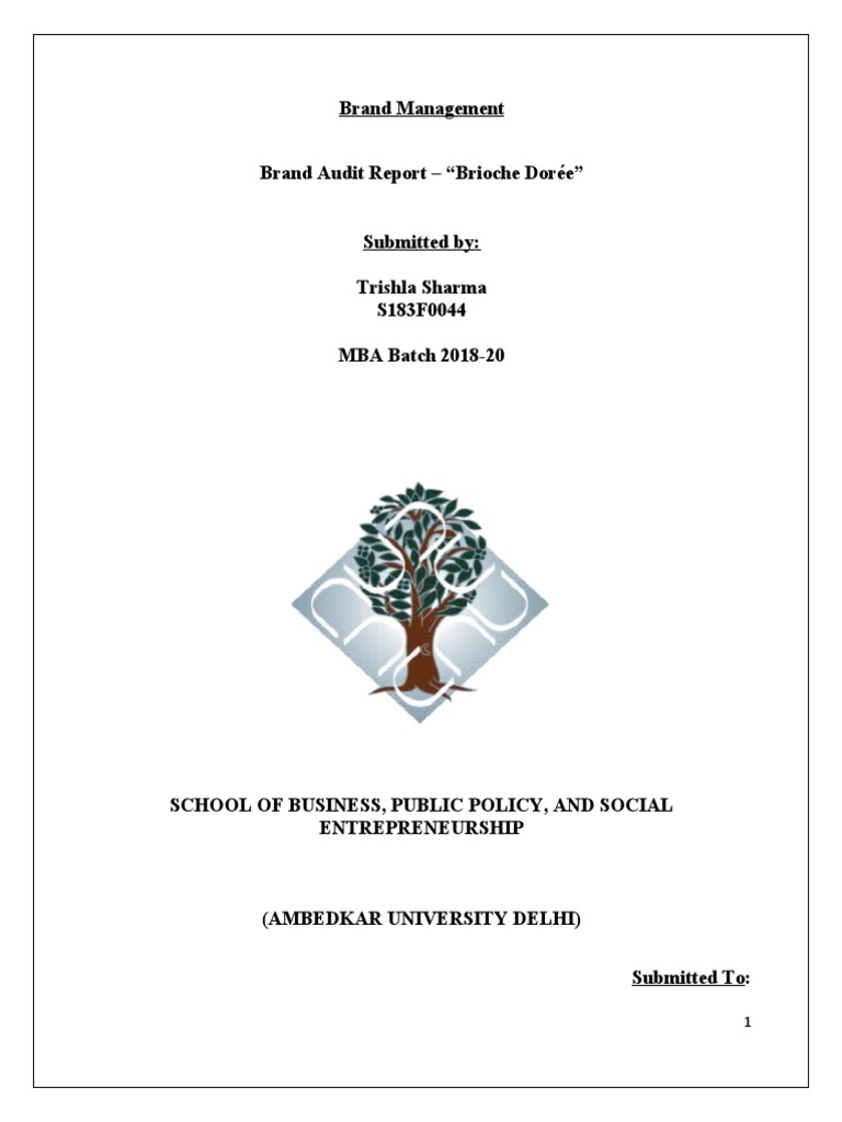 BA Report | PDF | Brand | Corporate Social Responsibility