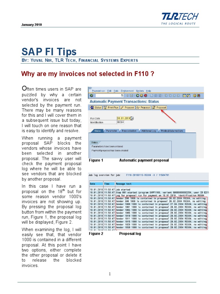 Sap Fi Tips: Why Are My Invoices Not Selected in F110 ? | PDF | Value ...