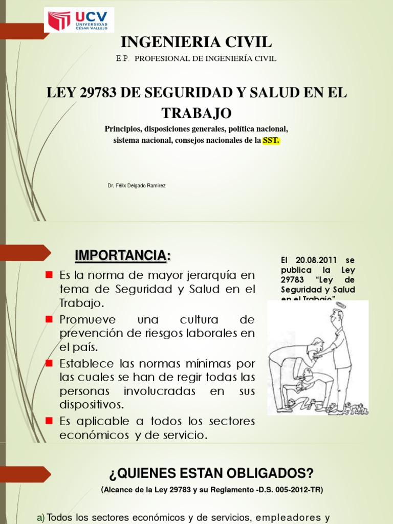 02 GSSOC Ley 29783 PDF | PDF | Labor | Salud y bienestar