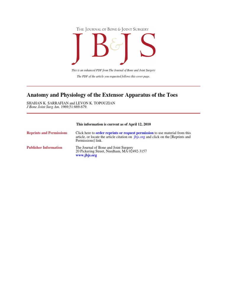 A) Anatomy and Physiology of The Extensor Apparatus of The Toes PDF ...