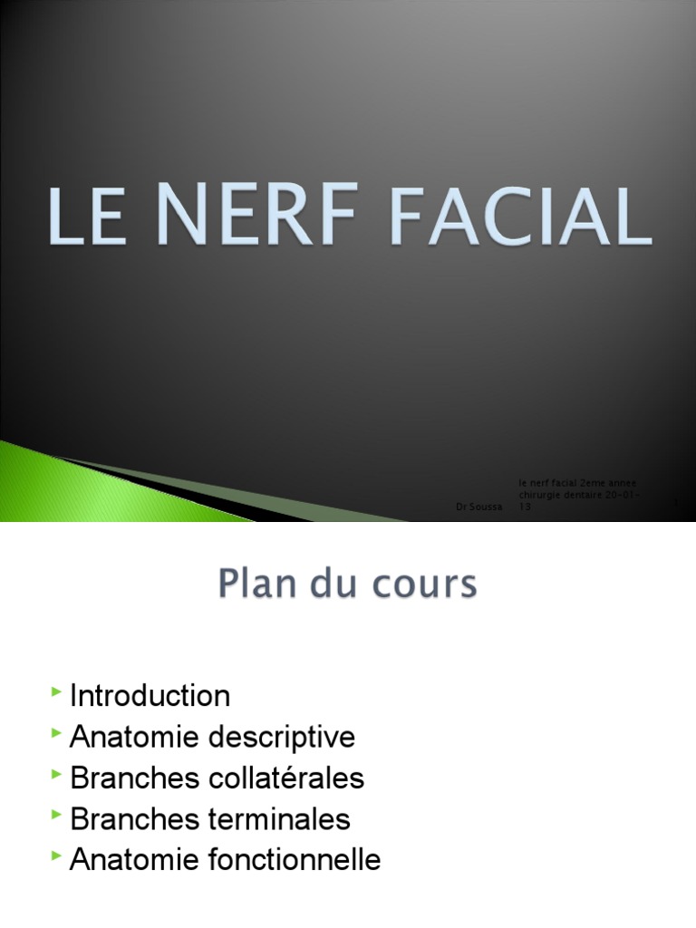 Le Nerf Facial | PDF | Anatomie animale | Tête et cou chez l'humain
