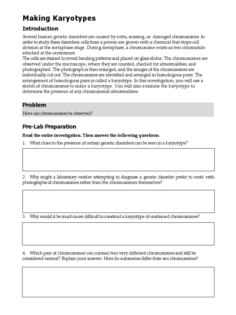 Making Karyotypes: Read The Entire Investigation. Then Answer The ...