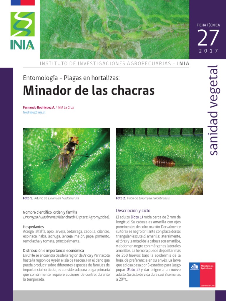 Minador Hoja | PDF | Control biológico de plagas | Plaga (organismo)