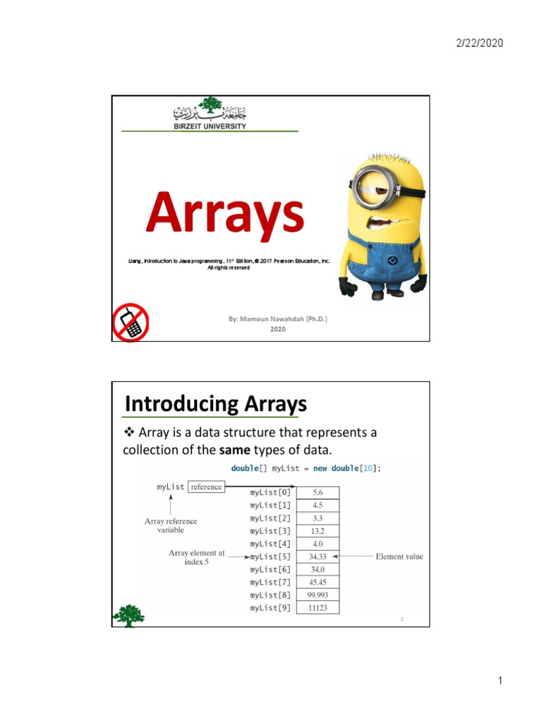 6 Arrays | PDF | Parameter (Computer Programming) | Data Type