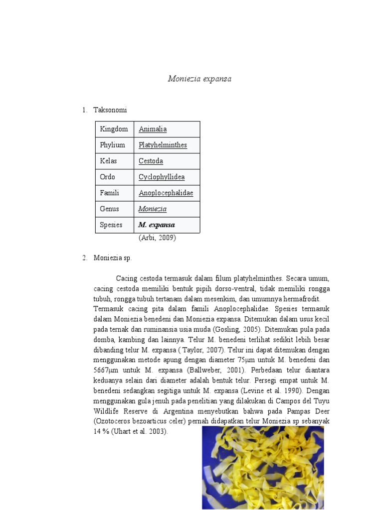 Siklus Hidup dan Patogenesis Moniezia | PDF