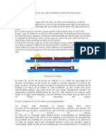 El Disco Plimsoll | PDF | Buques | Transporte de agua