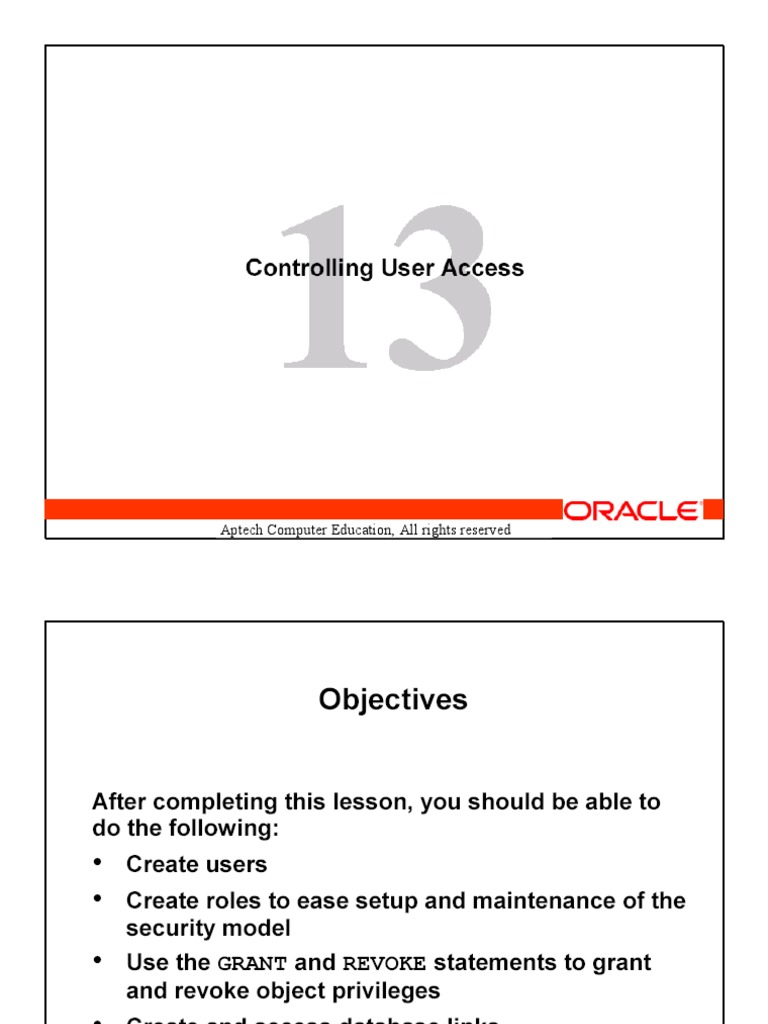 13 - Control de Usuarios | PDF