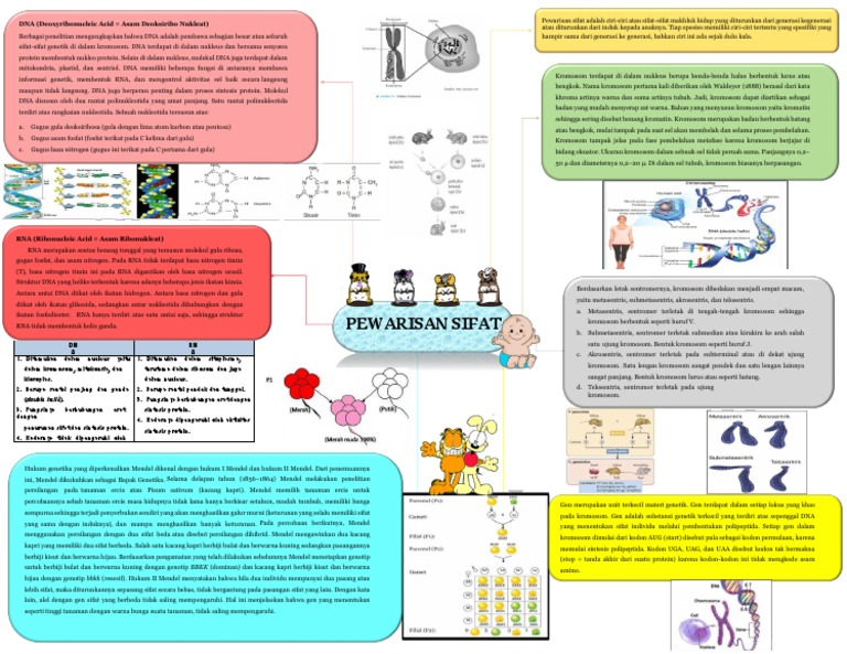 2A - 07 - Rosi Tri Yanti - Mind Map Bio Pewarisan Sifat PDF | PDF