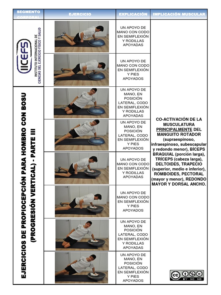 Ejercicios de Propiocepci N para Hombro Parte III | PDF | Codo | Hombro
