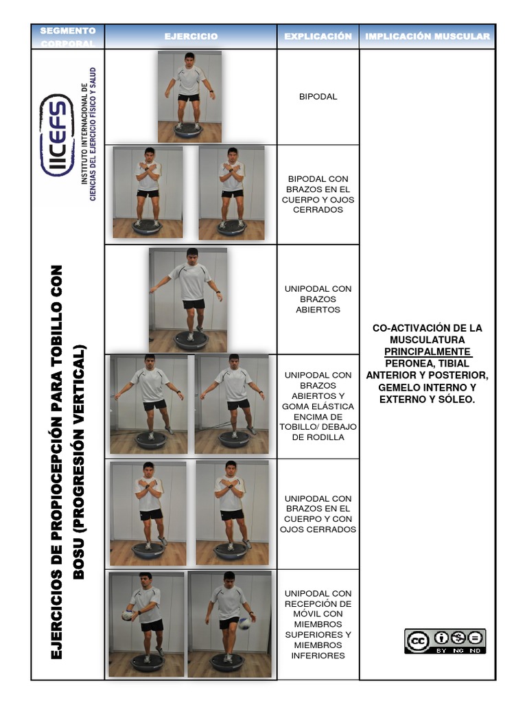 Ejercicios de Propiocepci N para Tobillo Con Bosu Parte 2 | PDF | Tobillo | Sistema ...