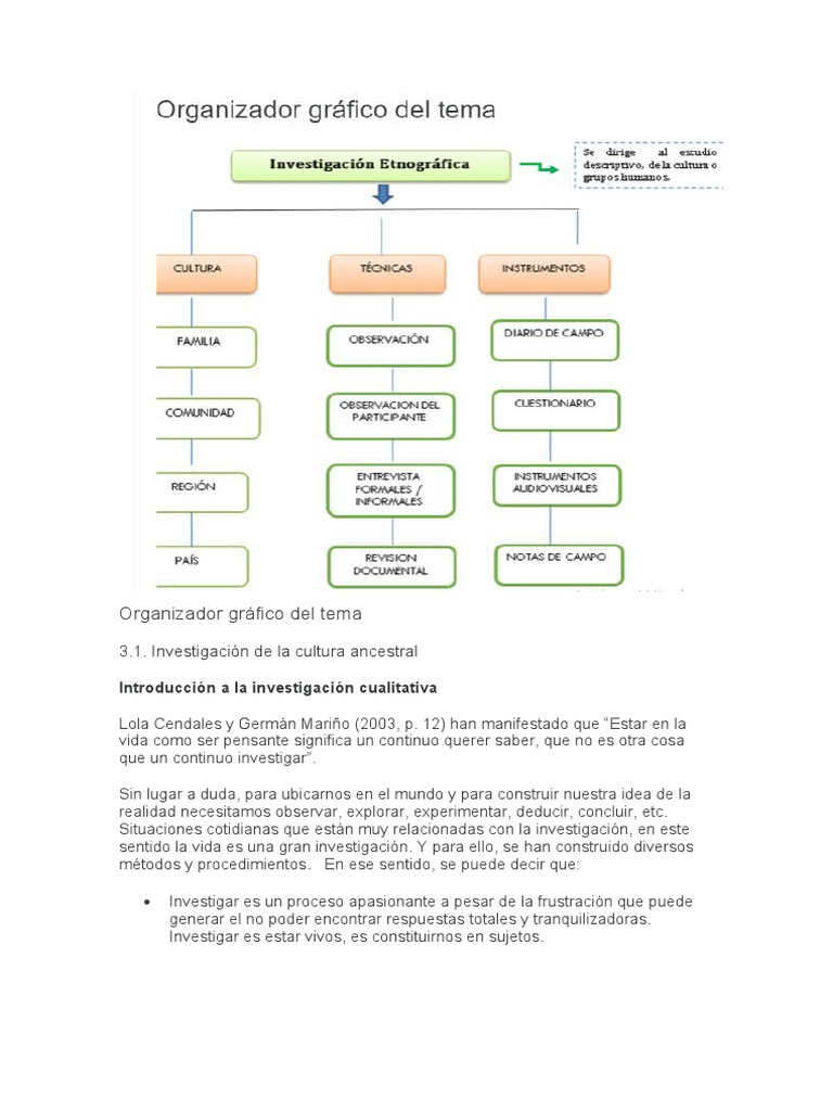 Organizador Gráfico Del Tema | PDF | Etnografía | Investigación cualitativa