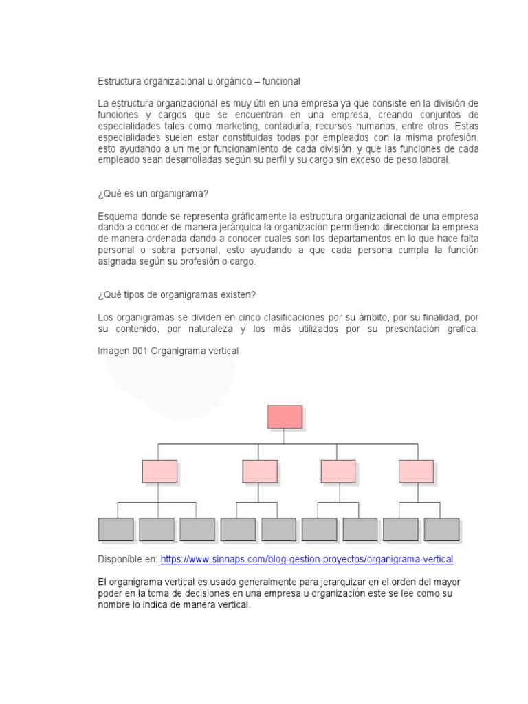 Estructura Organizacional U Orgánico | PDF | Toma de decisiones ...