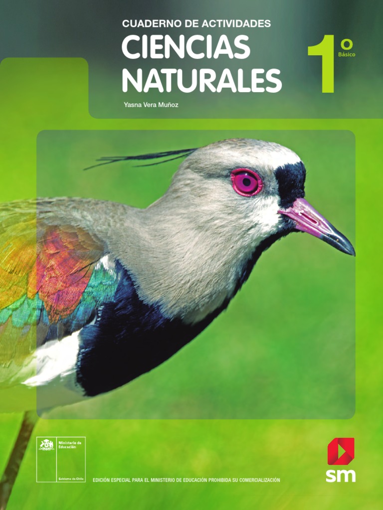 Ciencias Cuaderno PDF | PDF | Hoja | Alimentos