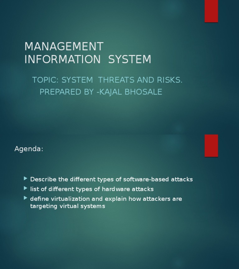 Management Information System | PDF
