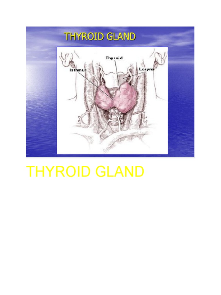 Tiroid PDF | PDF