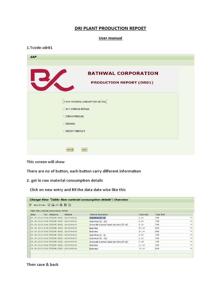 Dri Plant Production Repoet: 1.tcode-Zdr01 | PDF