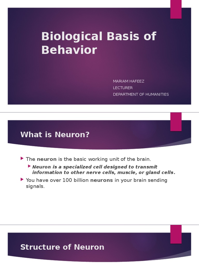 Biological Basis of Behavior | PDF | Neuron | Nervous System