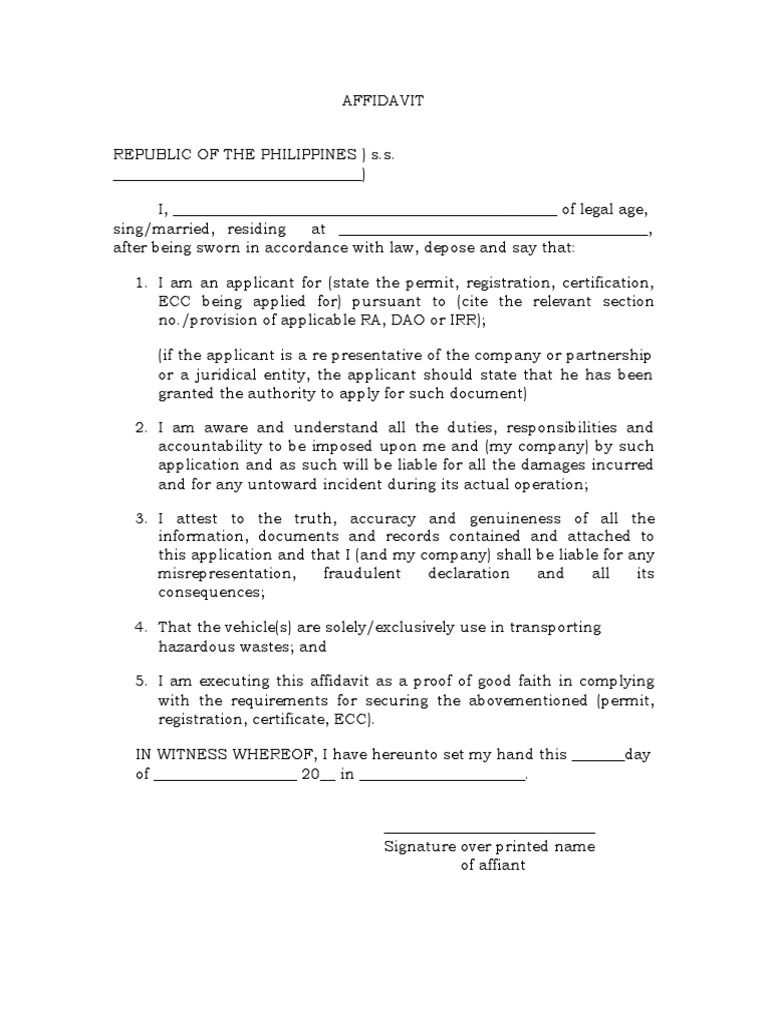 Affidavit No Income | PDF