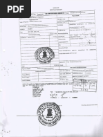 BMC Letter For Trimming Trees | PDF