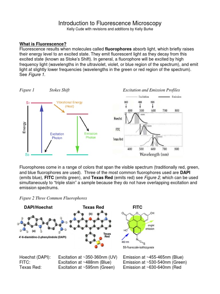 Introduction To Fluorescence Micros | PDF | Fluorescence Microscope | Fluorophore