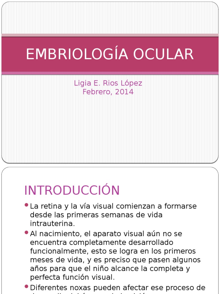 Embriología del Ojo y Desarrollo Ocular | PDF | Retina | Ojo humano