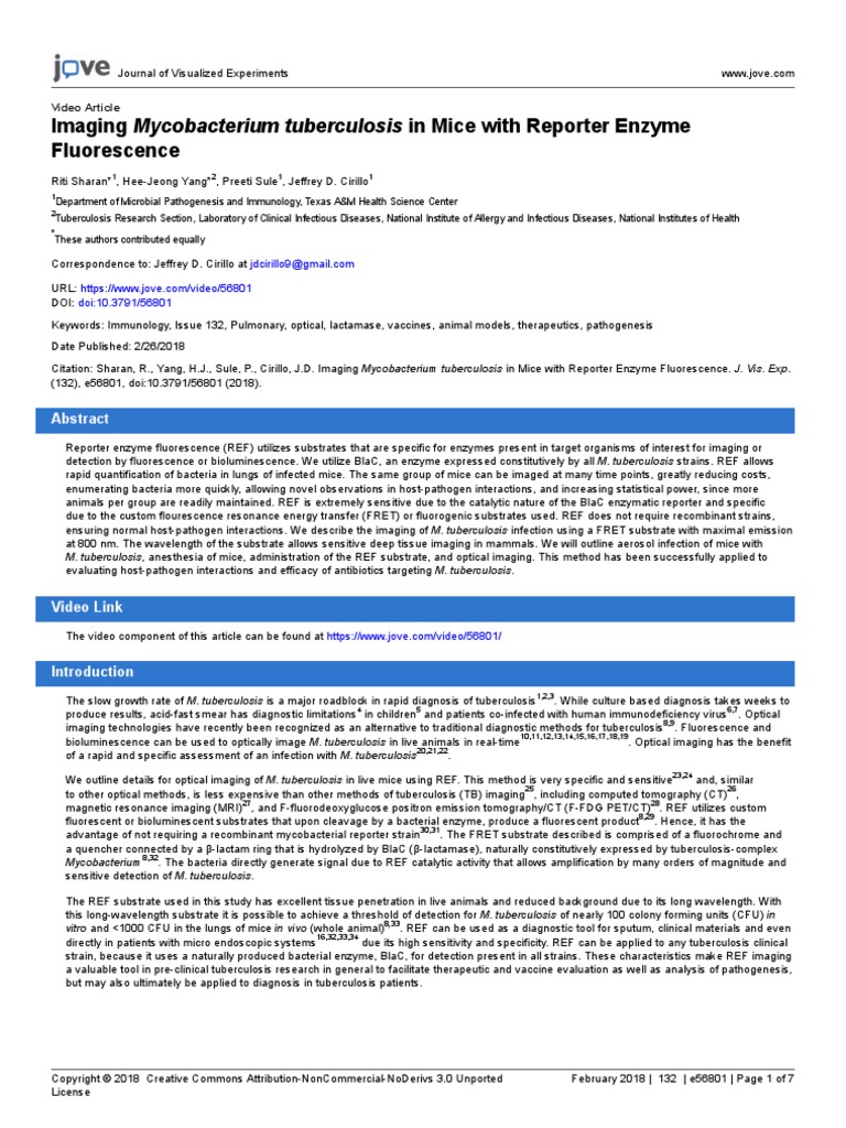 Jove Protocol 56801 Imaging Mycobacterium Tuberculosis Mice With ...