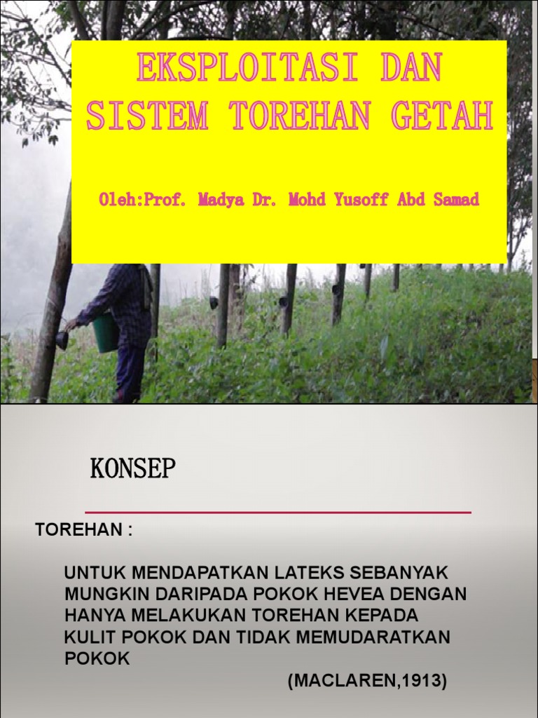 KULIAH 6 - Getah - Eksploitasi Sistem Torehan | PDF