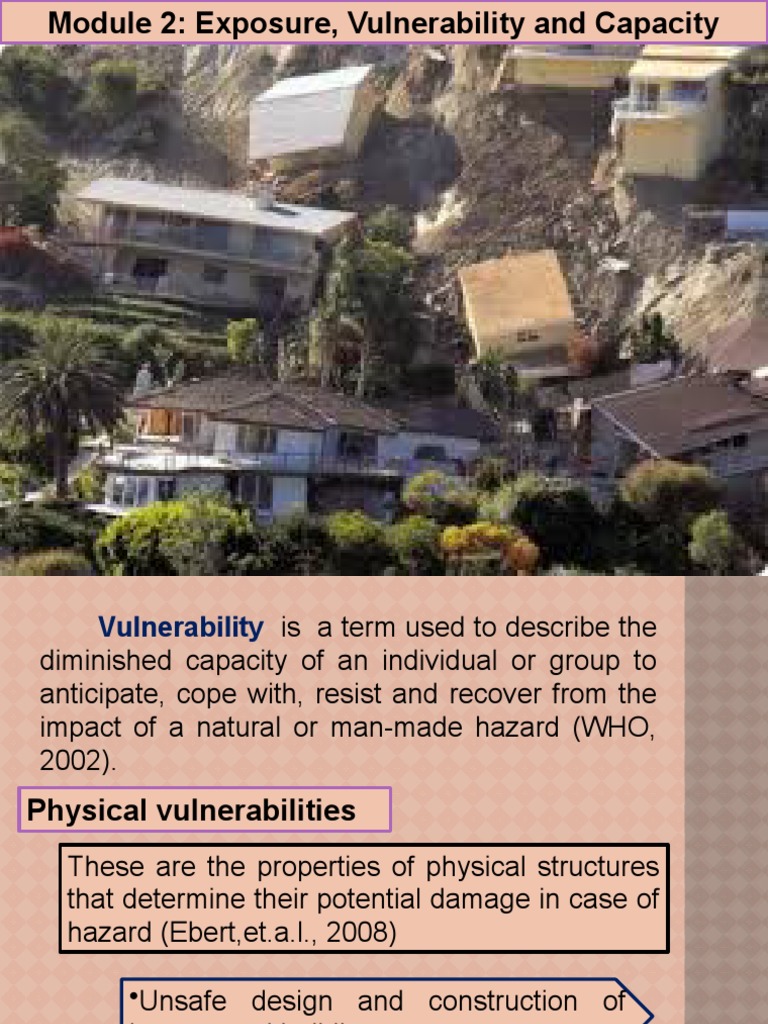 Module2 Vulnerability | PDF | Hazards | Vulnerability
