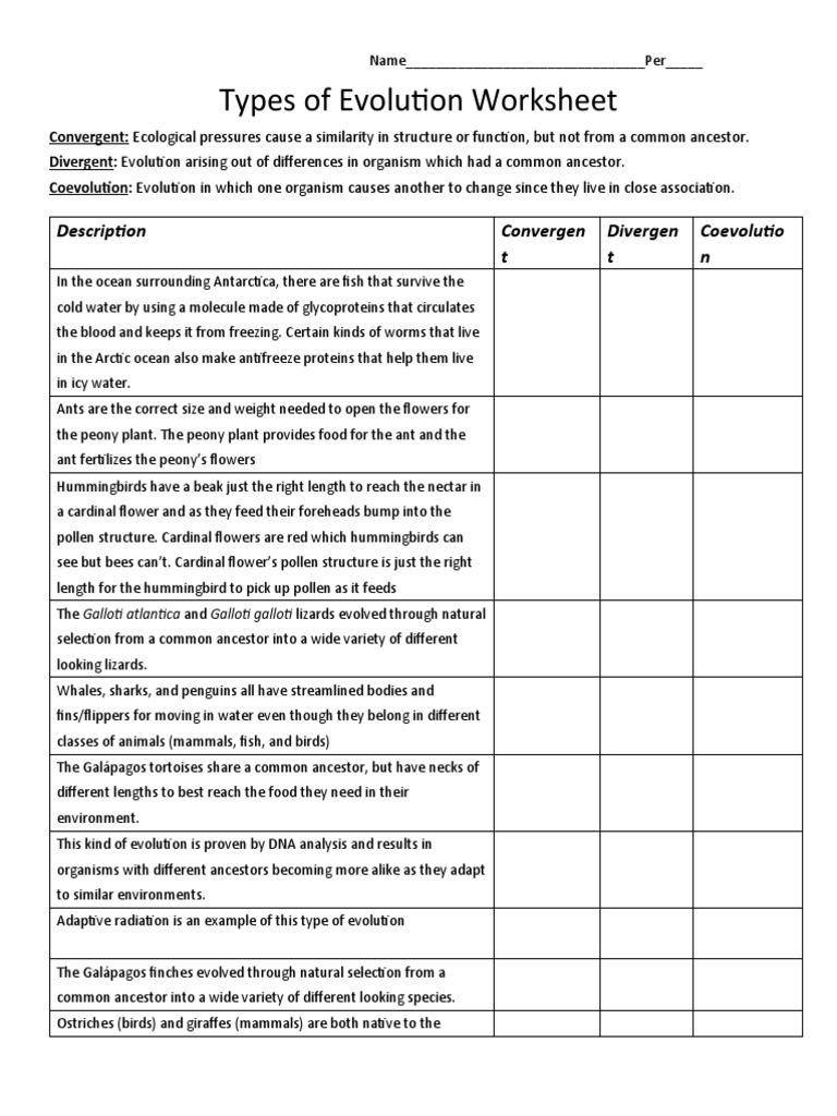 Types of Evolution Worksheet: Description Convergen T Divergen T ...