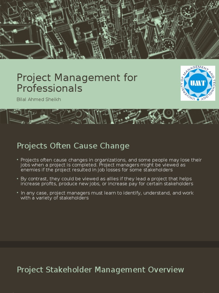 Stakeholder Management in Projects | PDF | Stakeholder (Corporate ...