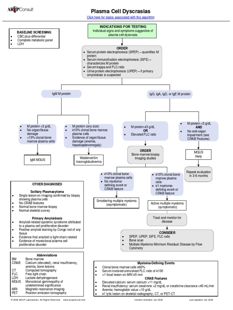 Plasma Cell Dyscrasias Testing Algorithm PDF | PDF | Multiple Myeloma ...