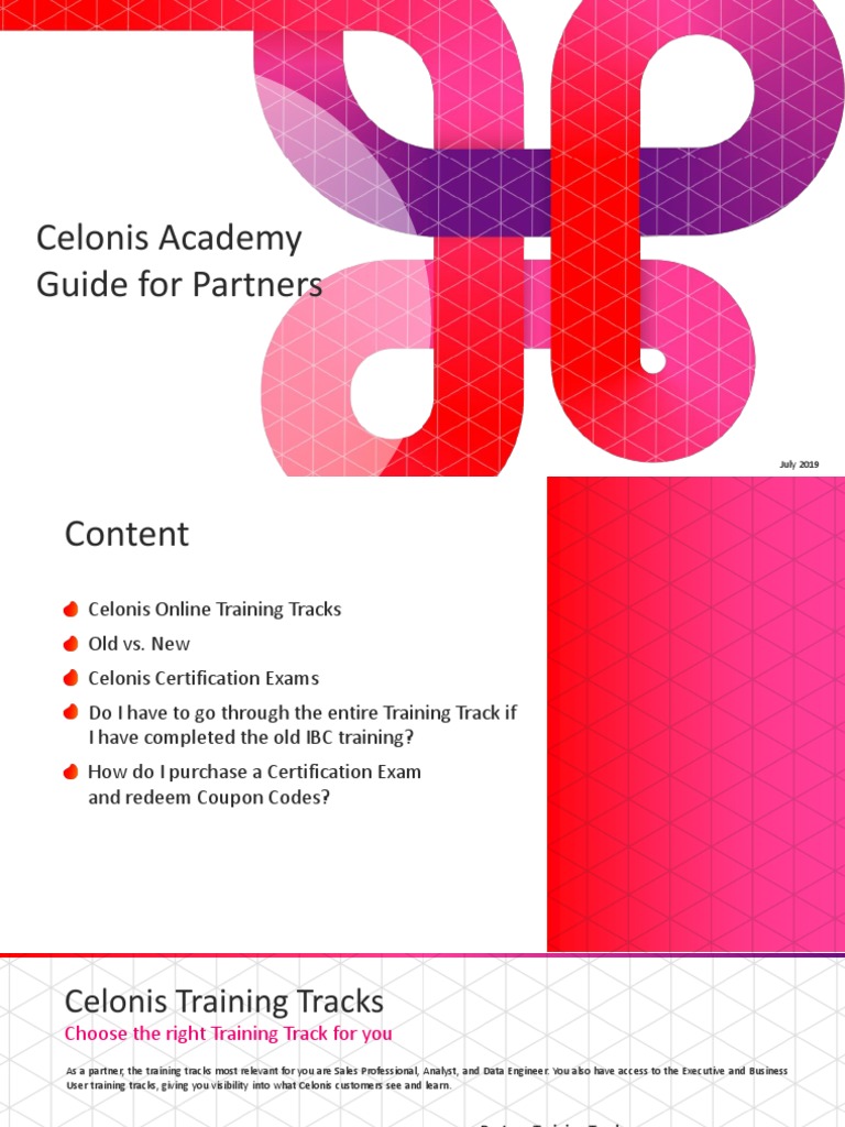 Celonis Academy - Training Tracks - Guide For Partners | PDF | Professional Certification ...