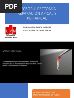 Linea de Fulcrum | PDF