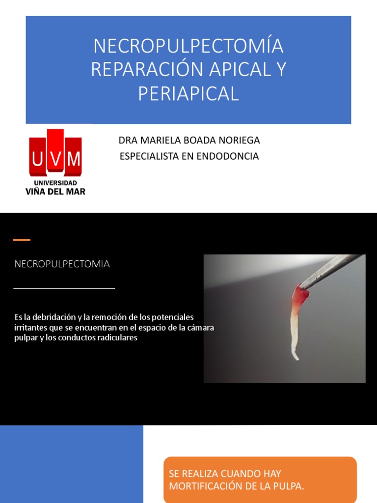 Necropulpectomia y Reparacion | PDF | Especialidades Medicas | Medicina ...
