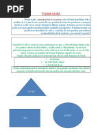 Ploaia Acida | PDF