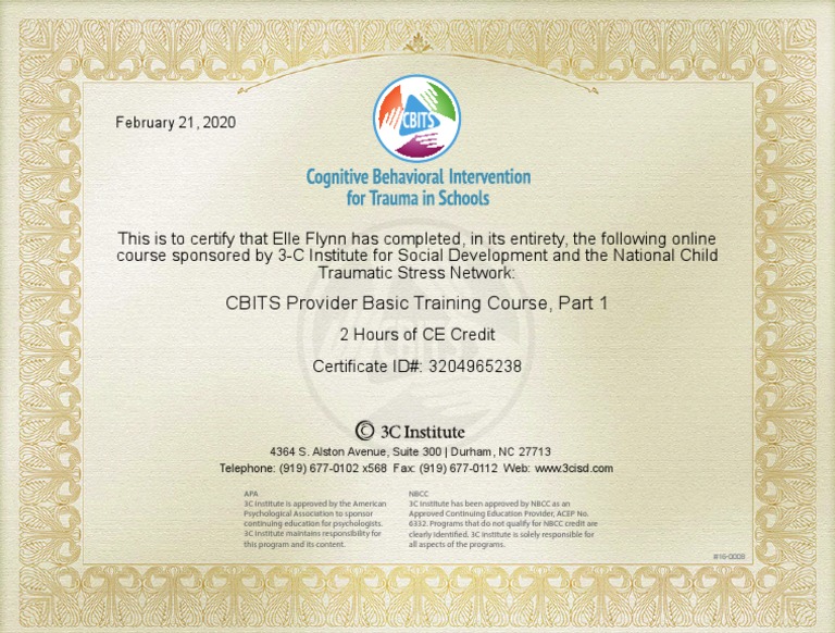 Cbits Certificate | PDF