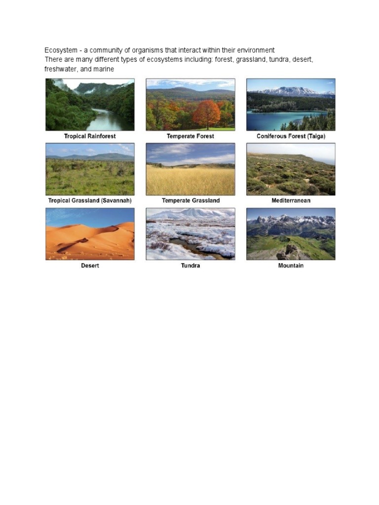 Exploring Key Ecosystem Types: From Forests and Grasslands to Tundras ...