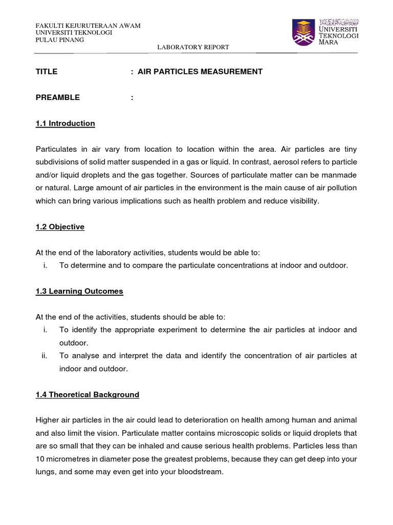 REPORT Air Pollution | PDF | Particulates | Air Pollution