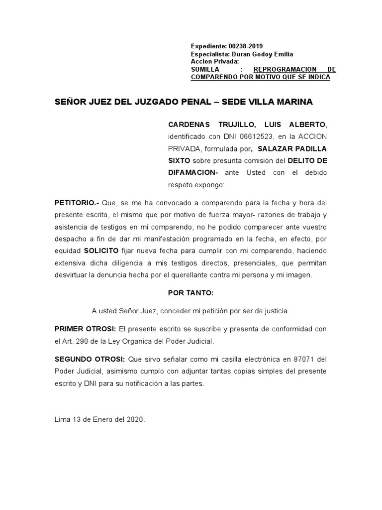 Escrito Reprogramacion-Caso Luis | PDF