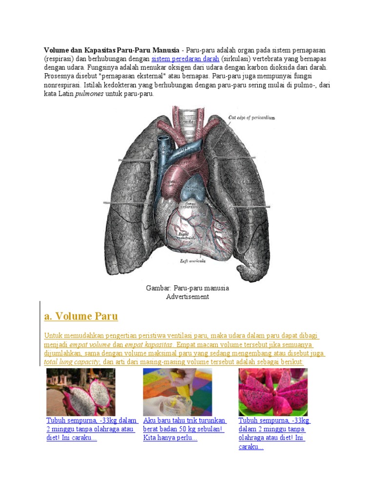 Volume Dan Kapasitas Paru Tugas Fister | PDF