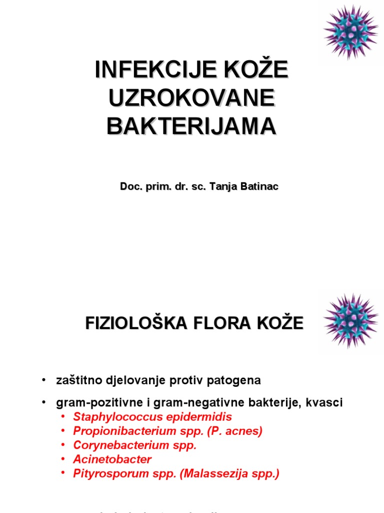 1BAKTERIJE | PDF