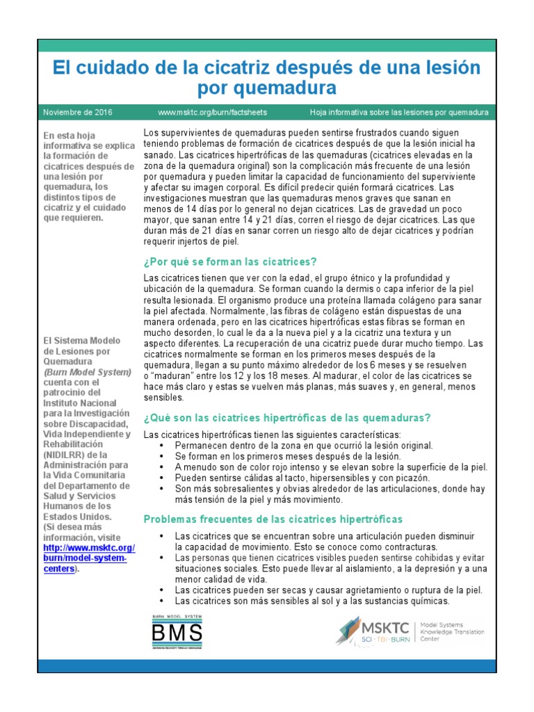 Burn Scar Management SP 508 PDF | PDF | Cicatriz | Quemar