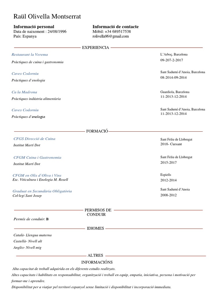 Curriculum Raul Olivella | PDF