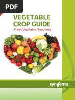 Butternut Production Guide for Zimbabwe | PDF | Fertilizer | Soil