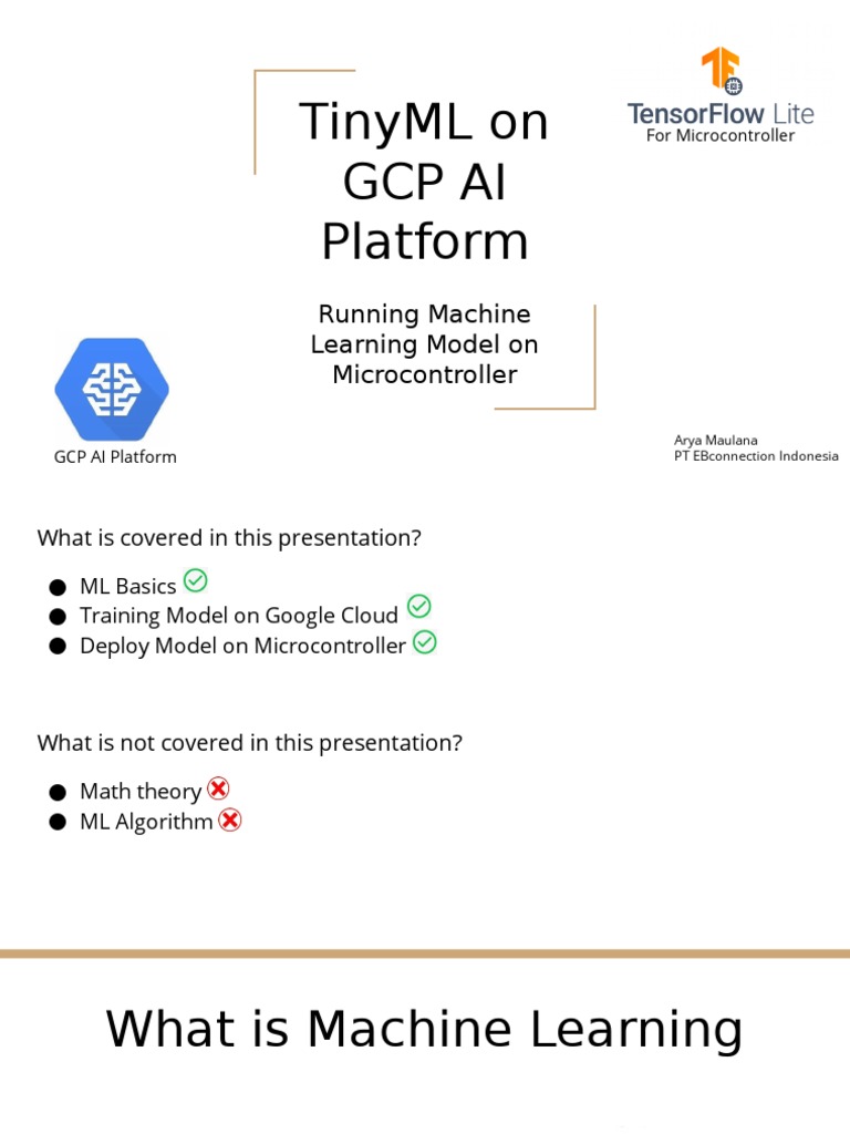 TinyML On GCP AI Platform | PDF