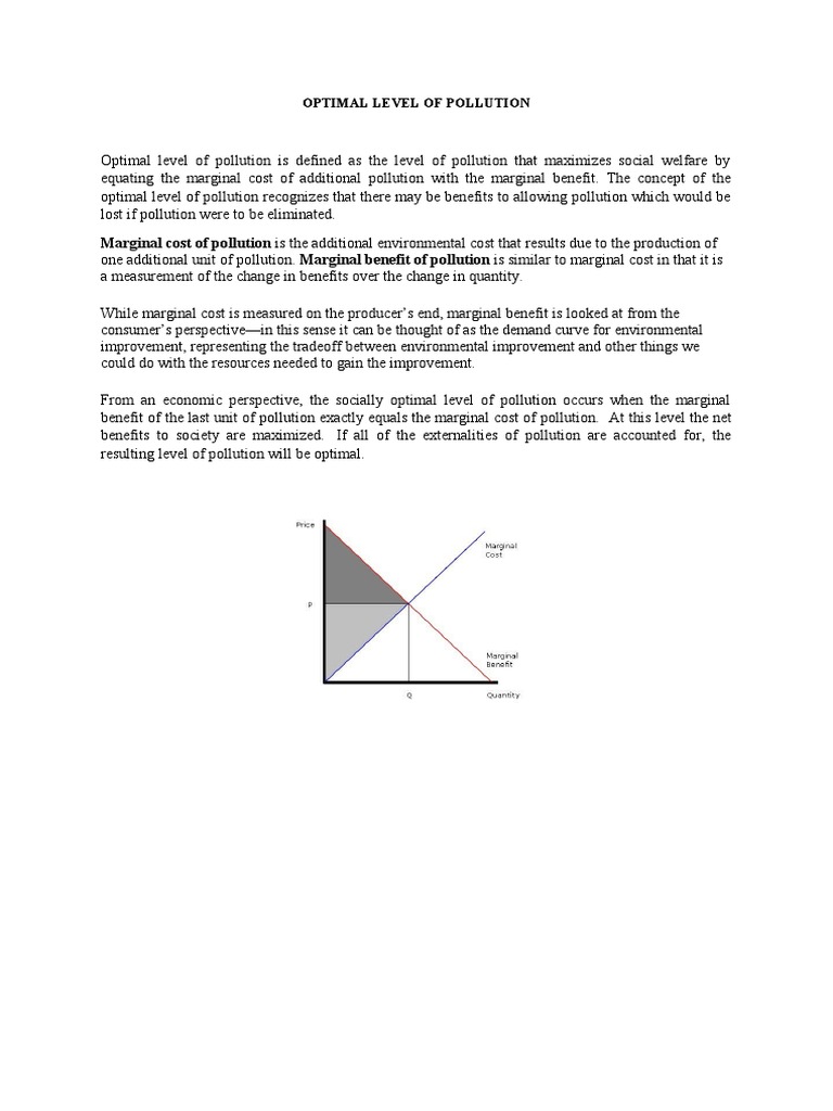 Optimal Level of Pollution | PDF