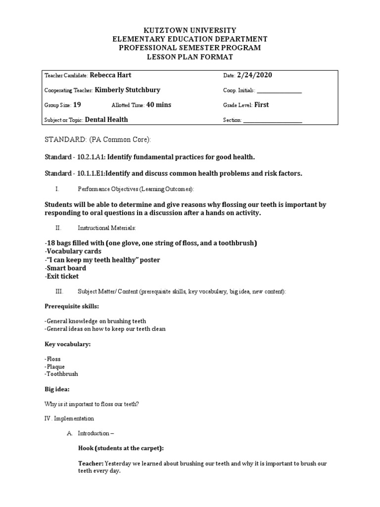 Dental Health Lesson Plan 3 | PDF | Oral Hygiene | Toothbrush